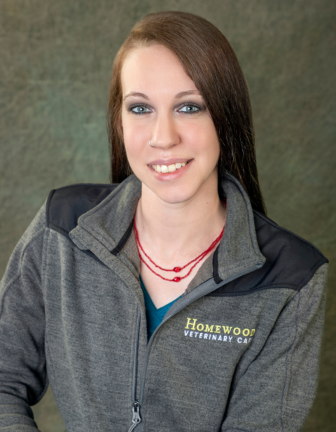 Veterinarians In Homewood, IL 60430 | Homewood Veterinary Care